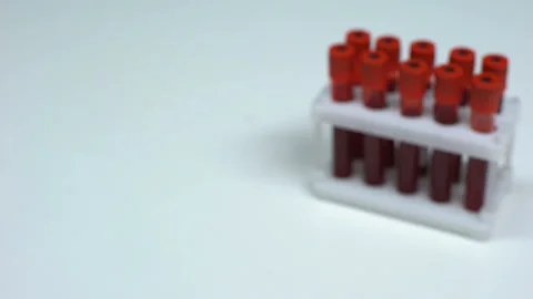 Showing Results Complete Stock Videos – Royalty-Free HD & 4K Videos