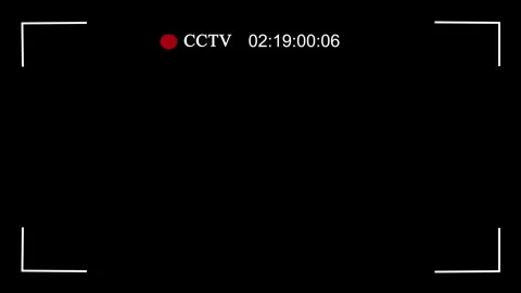 Cctv Vector Stock Videos – Royalty-Free HD & 4K Videos | Pond5