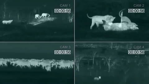 Traffic Video Cameras Stock Videos – Royalty-Free HD & 4K Videos | Pond5