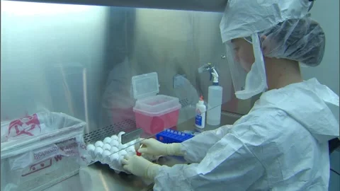 CDC Biosafety Lab workers with eggs | Stock Video | Pond5