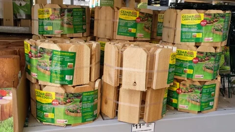 Girls Edging Stock Videos – Royalty-Free HD & 4K Videos