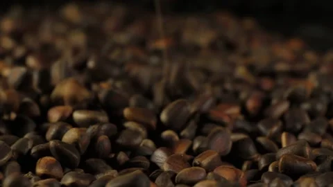 cedar seeds spill out on the table | Stock Video | Pond5