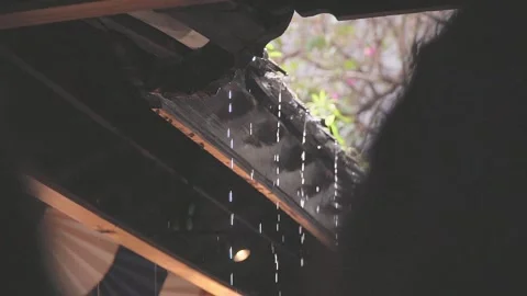 Rain Ceiling Stock Footage ~ Royalty Free Stock Videos | Pond5