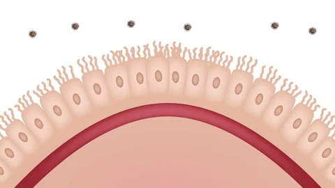 Lining Of U Stock Videos – Royalty-Free HD & 4K Videos