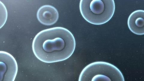 Cell Division Background | Stock Video | Pond5