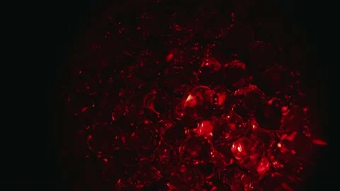 Cell division, formation of morula and e... | Stock Video | Pond5