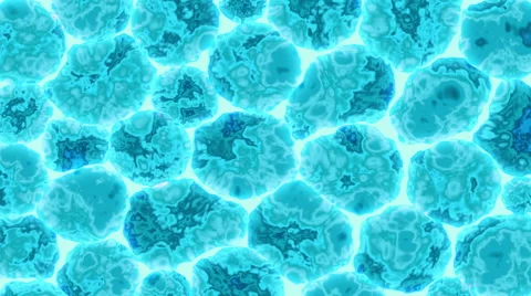 Cell Division Growth Animation | Stock Video | Pond5