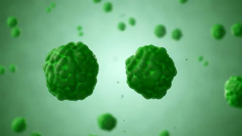 Cell Division Microbiology Medical Anima... | Stock Video | Pond5