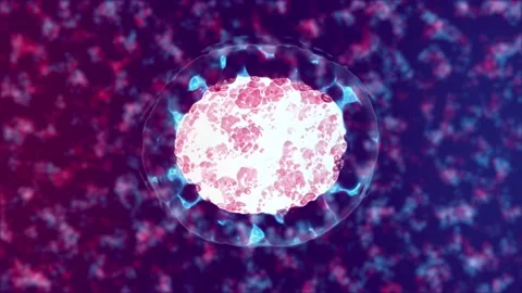 Cell division, Mitosis 3d animation. Bio... | Stock Video | Pond5