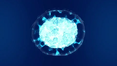 Cell division, Mitosis 3d animation with... | Stock Video | Pond5