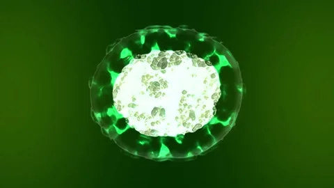Cell division, Mitosis 3d animation with... | Stock Video | Pond5