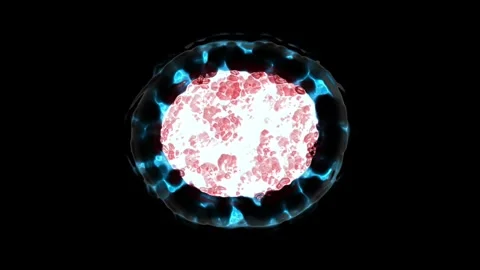 Cell division, Mitosis 3d animation. Bio... | Stock Video | Pond5