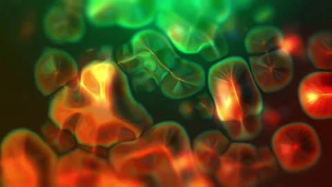 Cell division passing genetics informati... | Stock Video | Pond5