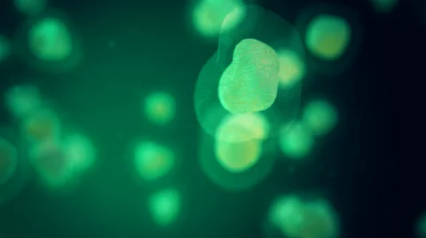 Cell Microbe Virus Molecule Bacteria | Stock Video | Pond5