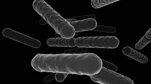 Cell proteins under electron microscope ... | Stock Video | Pond5