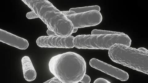 Electron Microscope Cells Stock Videos – Royalty-Free HD & 4K Videos ...