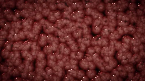 Cells moving graphic pulsing flesh, horr... | Stock Video | Pond5