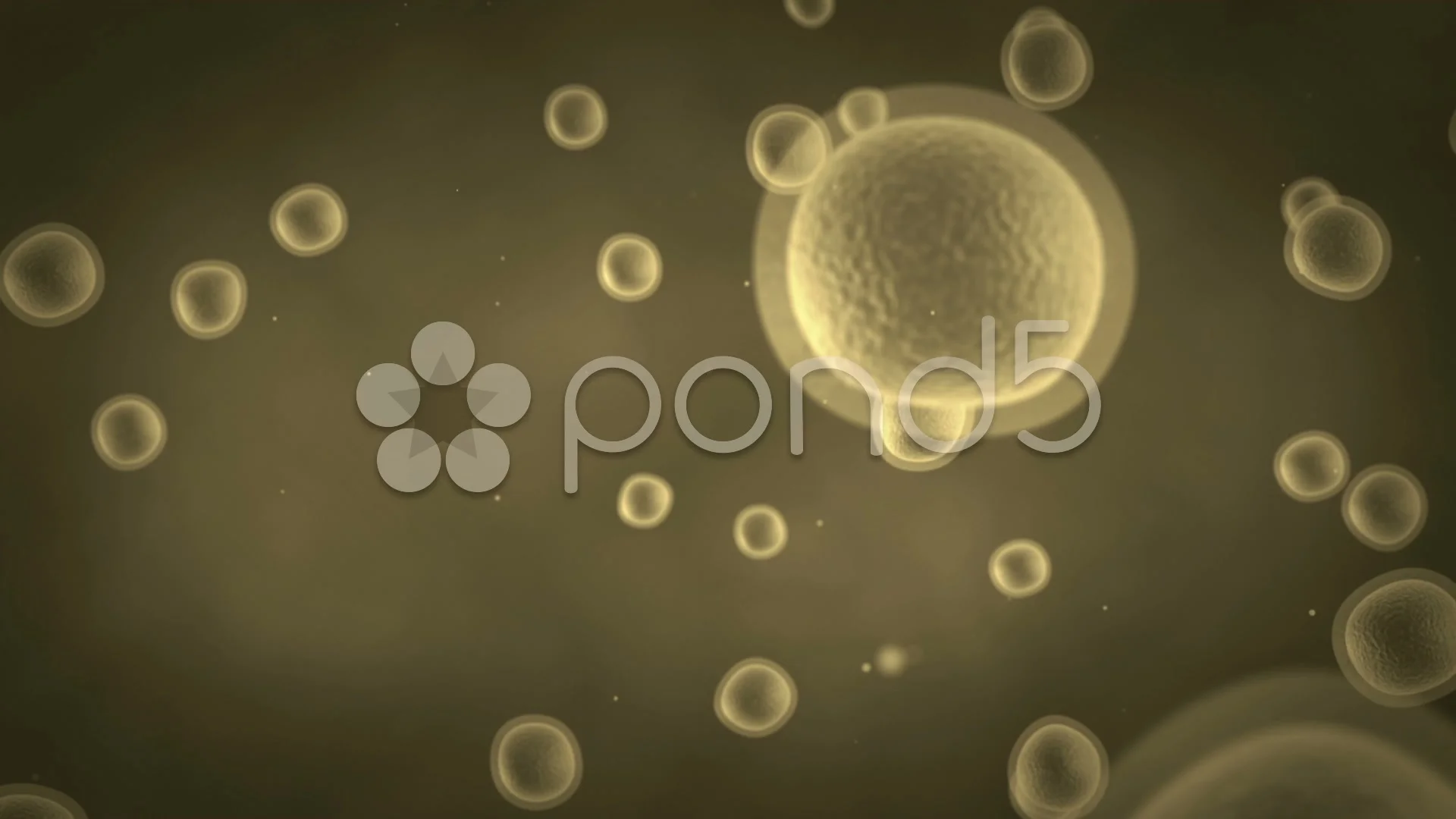 Cell Science Wallpaper