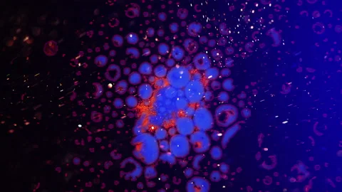 Body Explode Stock Footage ~ Royalty Free Stock Videos | Pond5