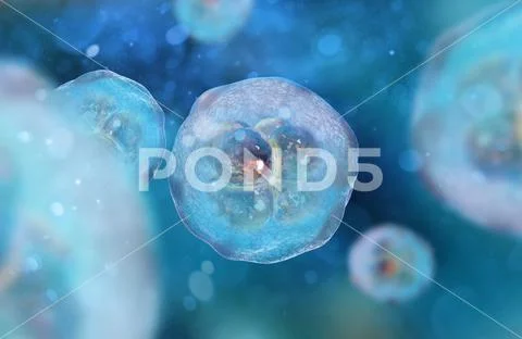 Cells under a microscope. Stem cell research. Cell therapy. Cell ...