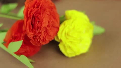 Cempasuchil paper flower yellow and oran... | Stock Video | Pond5