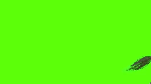 Green Screen Bigfoot Stock Footage ~ Royalty Free Stock Videos | Pond5