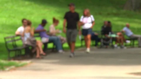 Central Park - Green Screen Background | Stock Video | Pond5