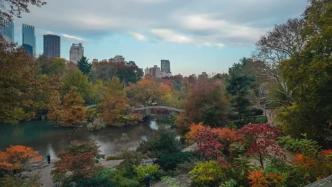 Central Park Lake in the Fall with Full ... | Stock Video | Pond5