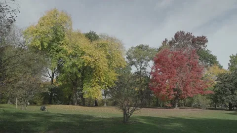 Central Park Manhattan NYC Fall Foliage ... | Stock Video | Pond5