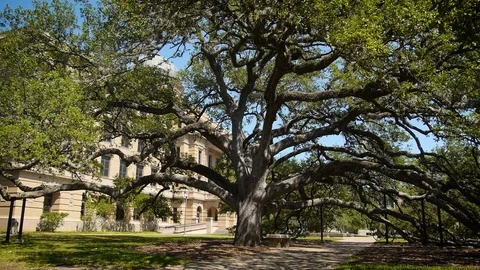 Texas Am University Stock Videos – Royalty-Free HD & 4K Videos | Pond5