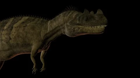 Ceratosaurus on transparent background | Stock Video | Pond5