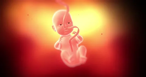 CG 3d baby fetus slowly moving inside of... | Stock Video | Pond5