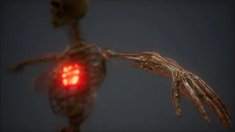 CG Animation Of A Sick Human Heart | Stock Video | Pond5