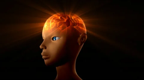Cg rotating human brain scan animation | Stock Video | Pond5