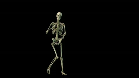 CG Skeleton Dancing w/Alpha | Stock Video | Pond5