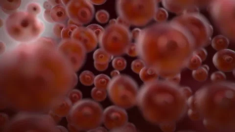 CGI of fly through human cells | Stock Video | Pond5