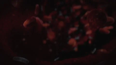 CGI shot of blood cells and bacteria tra... | Stock Video | Pond5