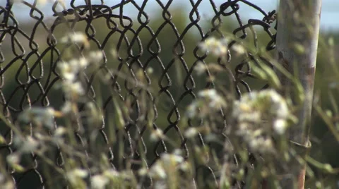 Chain Link F Stock Videos – Royalty-Free HD & 4K Videos | Page 5