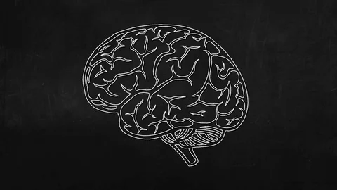 Brain Animation Stock Video Footage | Royalty Free Brain Animation ...