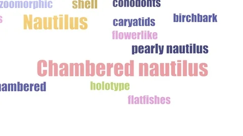 Animated Chamber Stock Footage ~ Royalty Free Stock Videos | Pond5