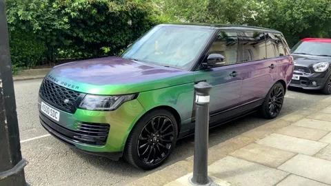 Chameleon Changing Color Stock Videos – Royalty-Free HD & 4K Videos