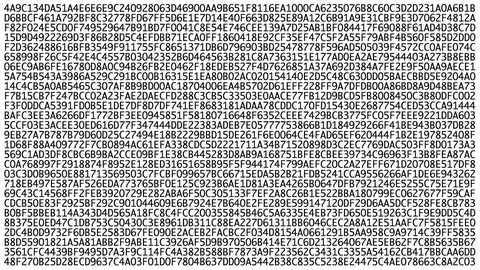 Hex Code and Binary Code Stock Video Footage | Royalty Free Hex Code ...