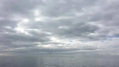 Whales Channel Whale Stock Videos – Royalty-Free HD & 4K Videos