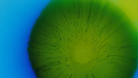 Chaotic movement, expansion of the flow,... | Stock Video | Pond5