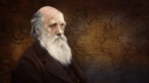 Charles Darwin Animation Stock Videos – Royalty-Free HD & 4K Videos