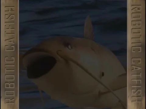 Charlie, a robotic catfish built by the ... | Stock Video | Pond5