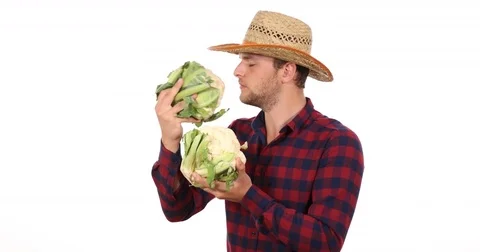 Check Ok Stock Videos – Royalty-Free HD & 4K Videos