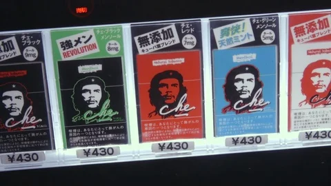 Che Guevara Stock Video Footage | Royalty Free Che Guevara Videos | Page 2