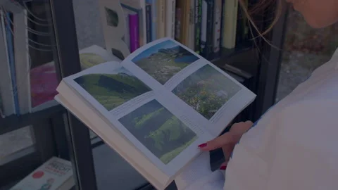 Libraries Pictures Stock Videos – Royalty-Free HD & 4K Videos