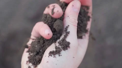 Checking the soil for moisture in the sp... | Stock Video | Pond5